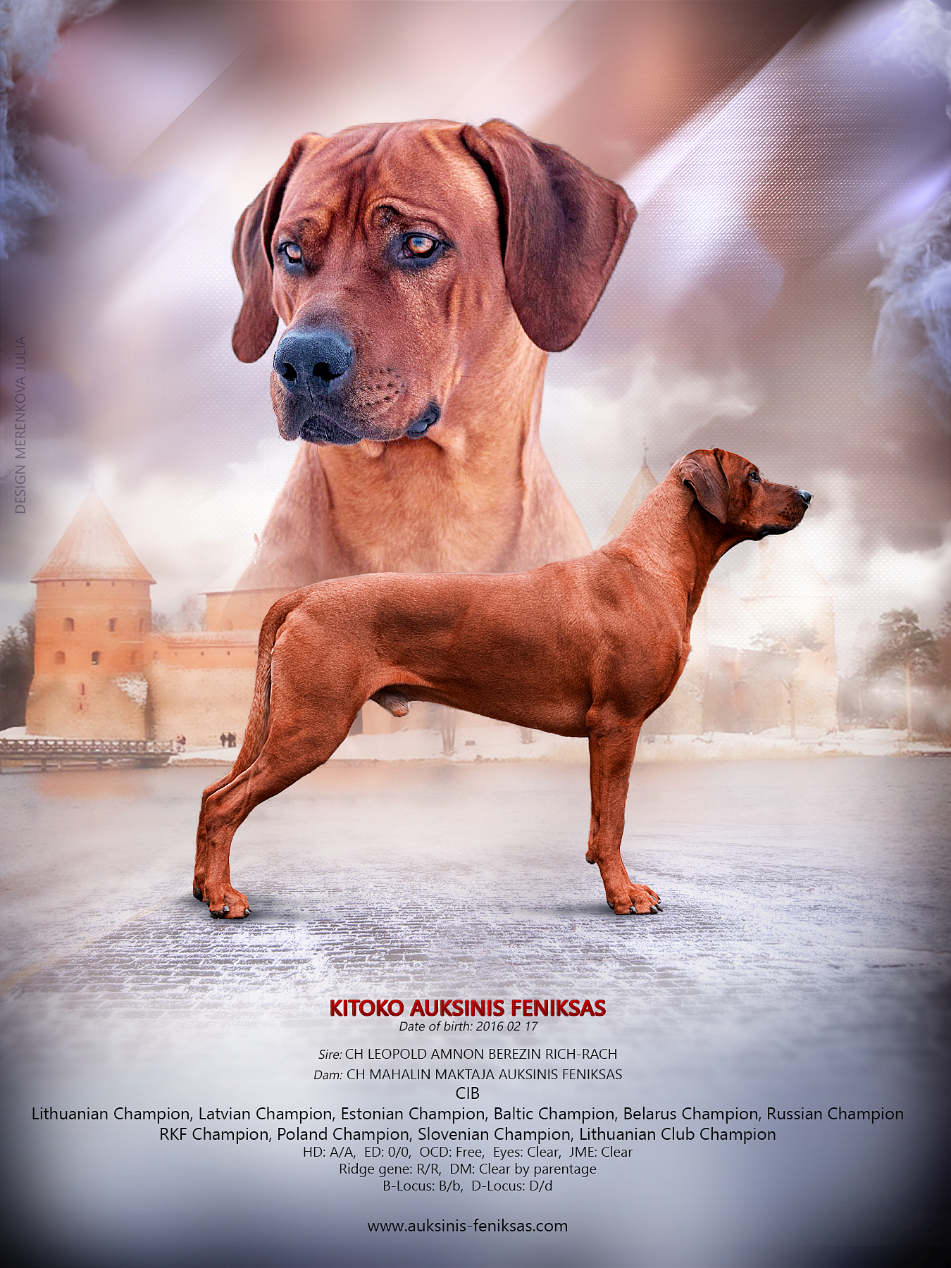 Kito Pedigree – Riginal Rhodesian Ridgebacks