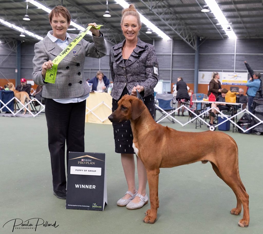 Updates 2023 – Riginal Rhodesian Ridgebacks