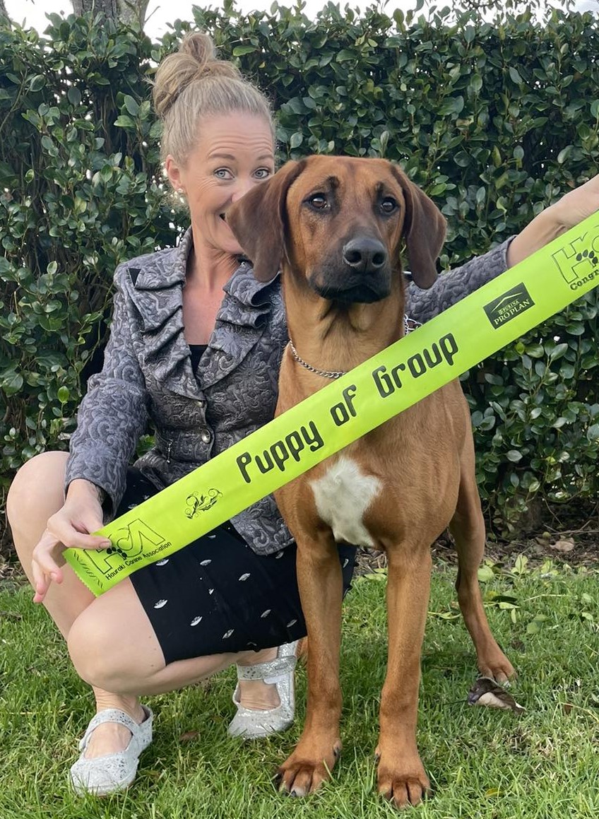 Updates 2023 – Riginal Rhodesian Ridgebacks