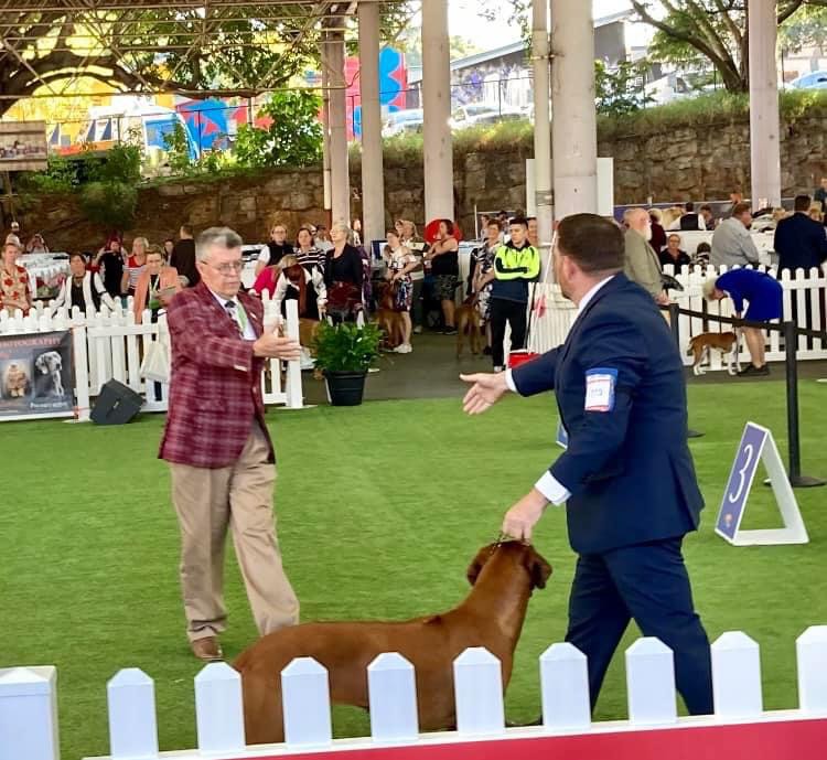 Updates 2023 – Riginal Rhodesian Ridgebacks