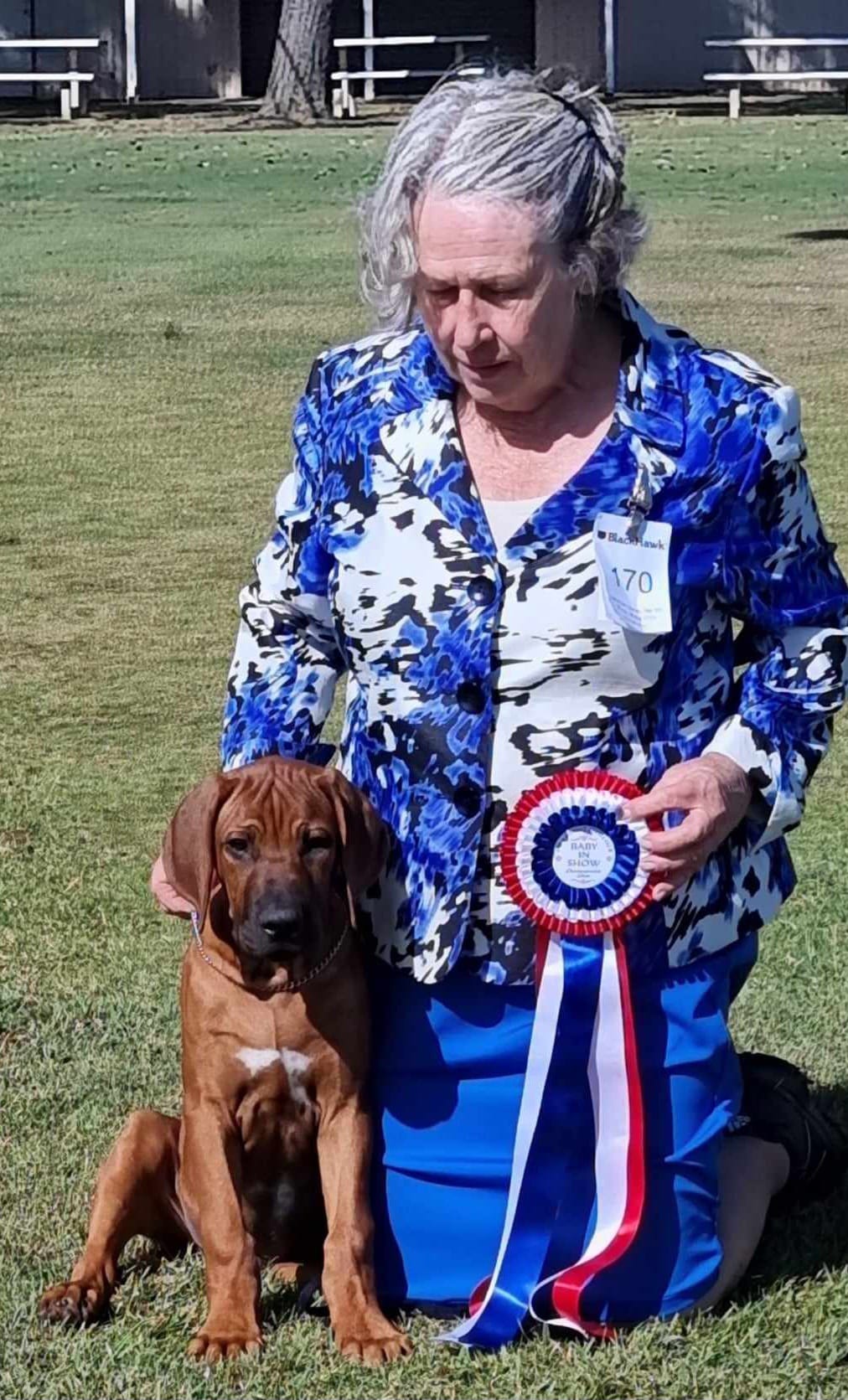 Rubin – Riginal Rhodesian Ridgebacks