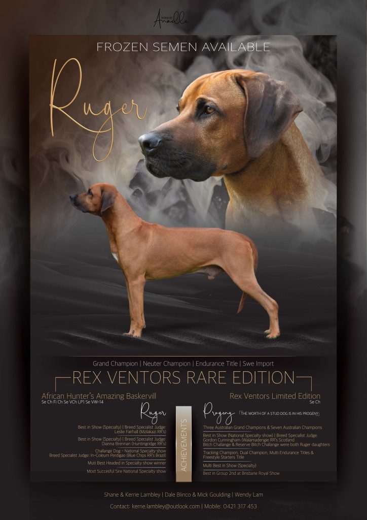Updates 2023 – Riginal Rhodesian Ridgebacks