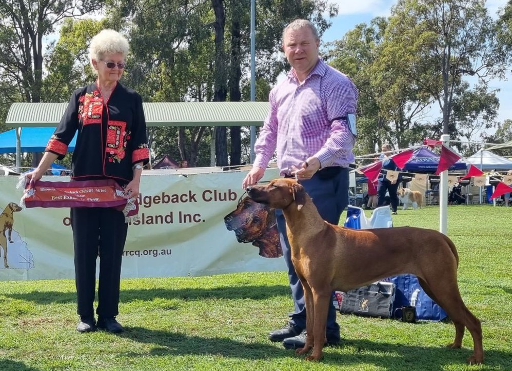 Updates 2023 – Riginal Rhodesian Ridgebacks