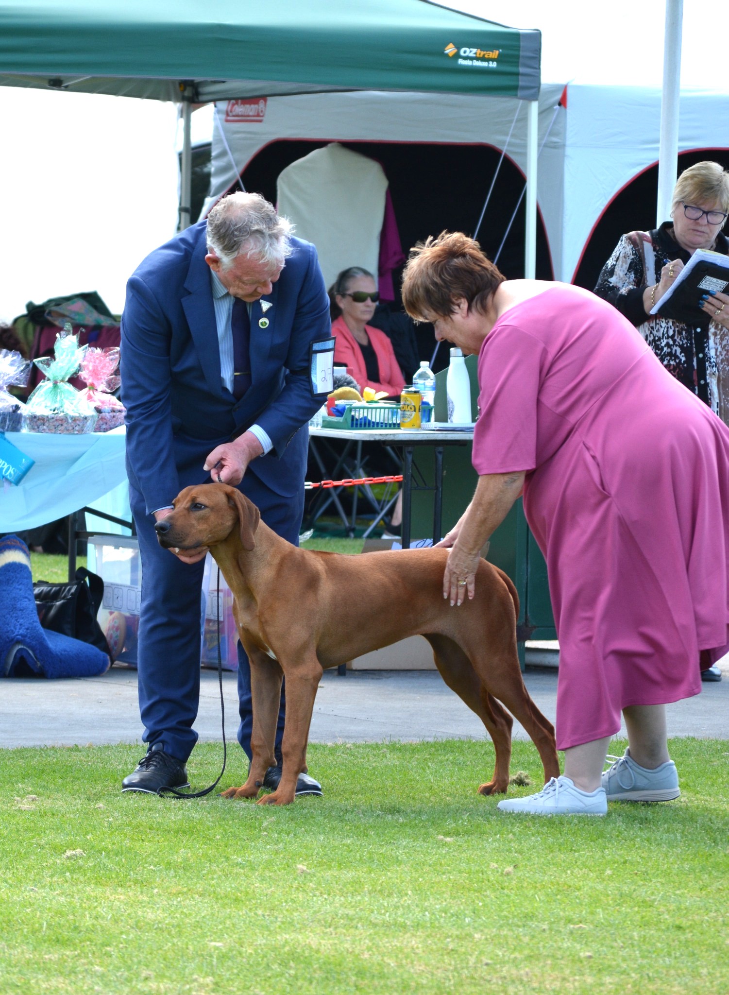 Updates 2023 – Riginal Rhodesian Ridgebacks