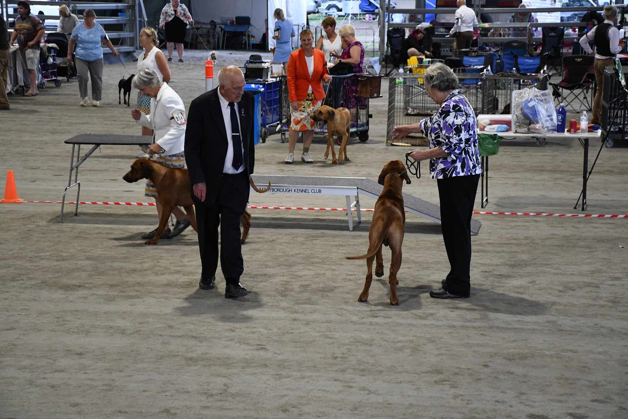 Updates 2023 – Riginal Rhodesian Ridgebacks