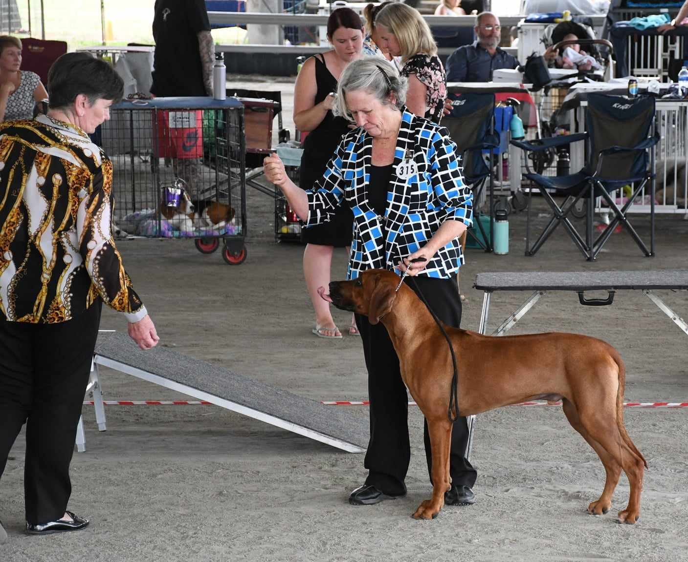 Updates 2023 – Riginal Rhodesian Ridgebacks