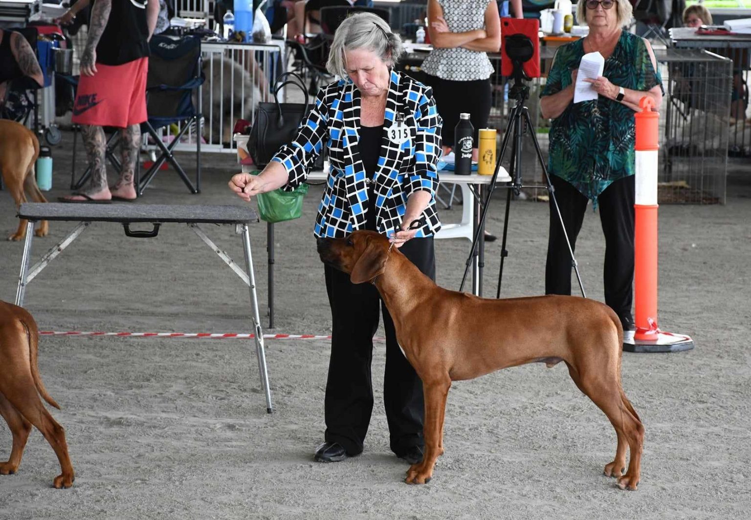 Updates 2023 – Riginal Rhodesian Ridgebacks