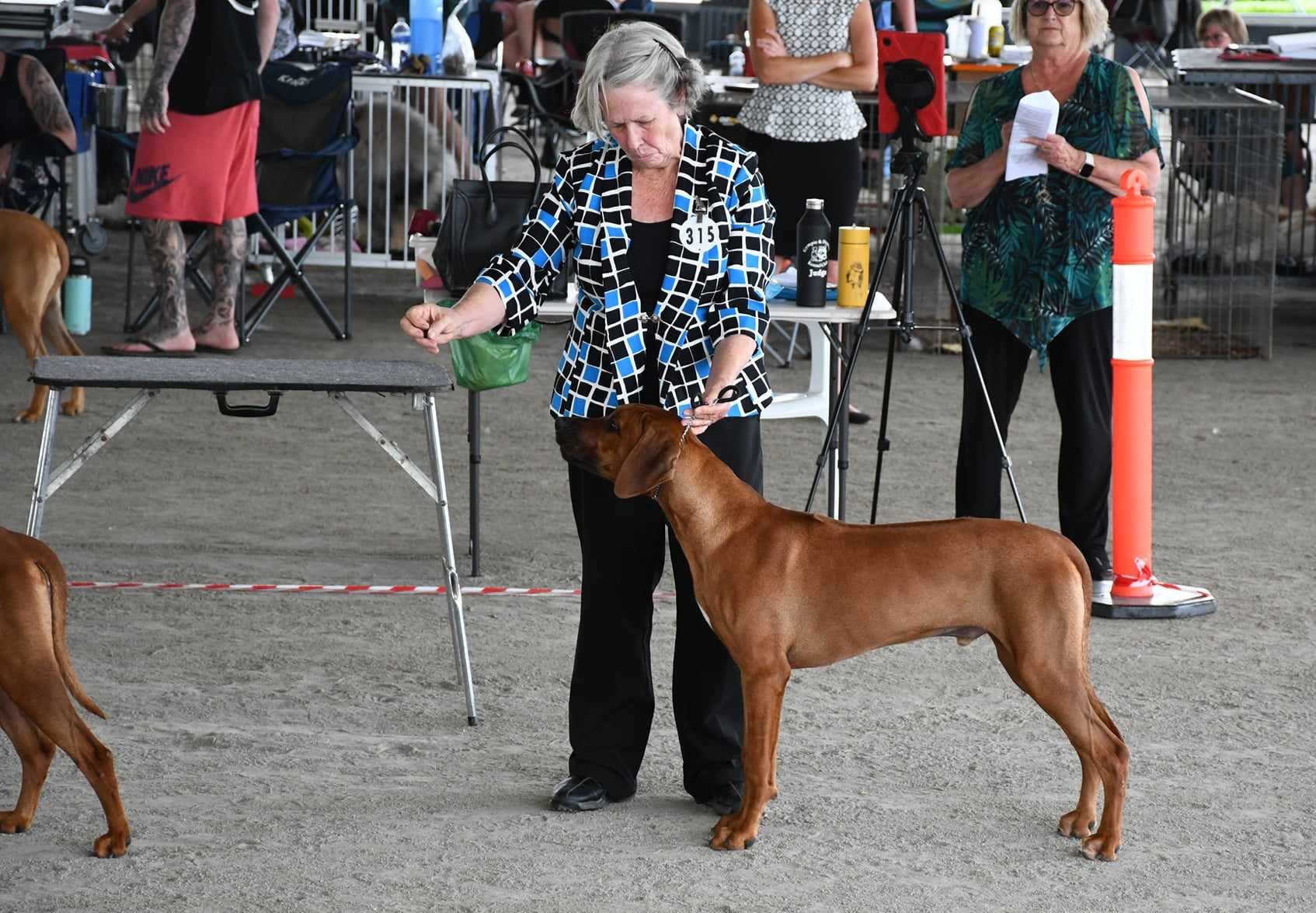 Updates 2023 – Riginal Rhodesian Ridgebacks