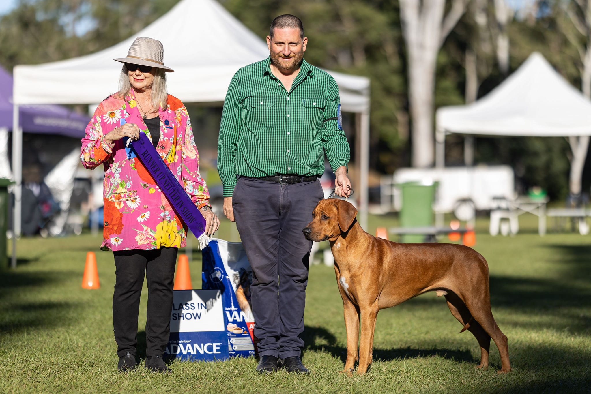 Updates 2024 – Riginal Rhodesian Ridgebacks