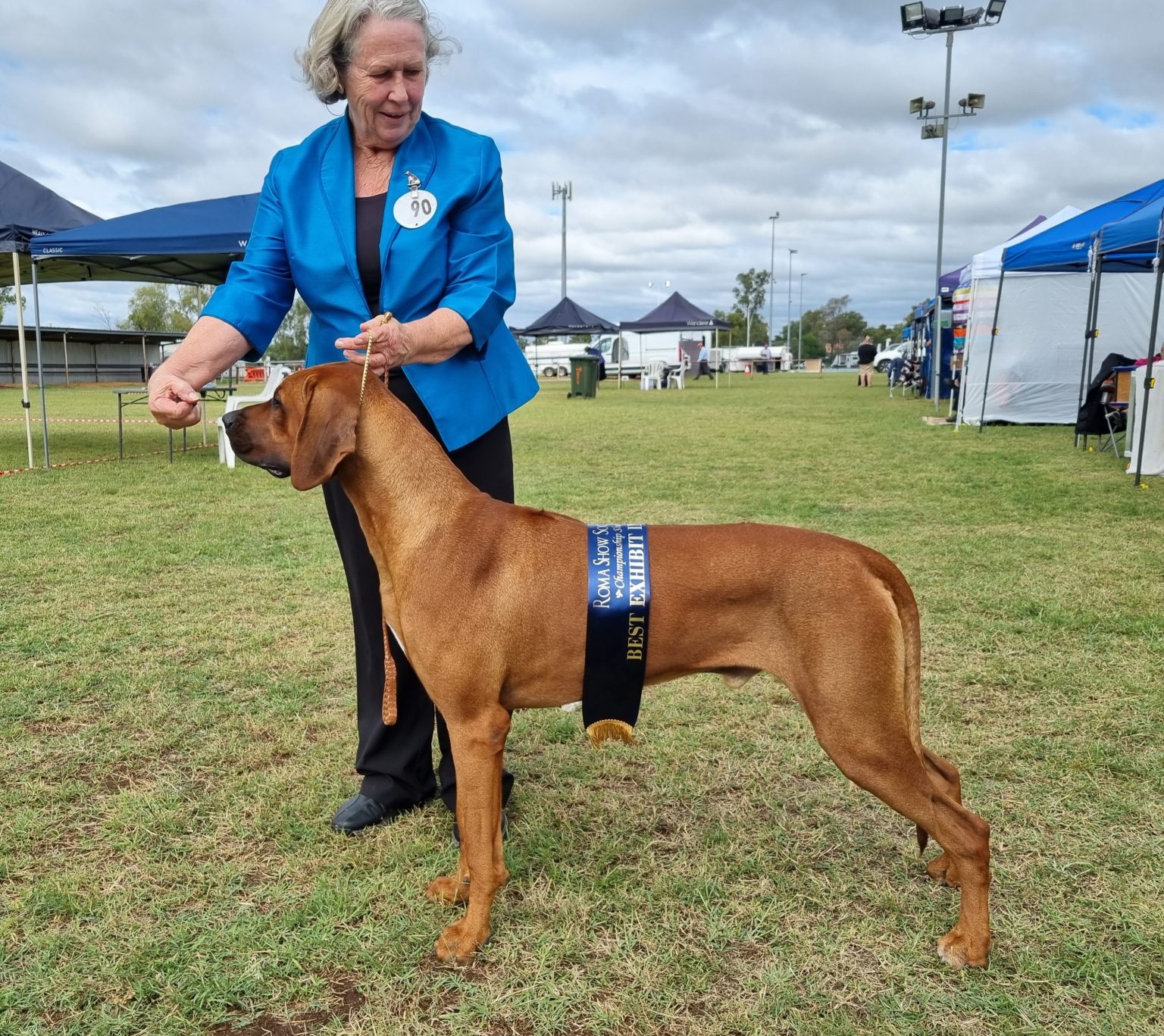 Rubin – Riginal Rhodesian Ridgebacks